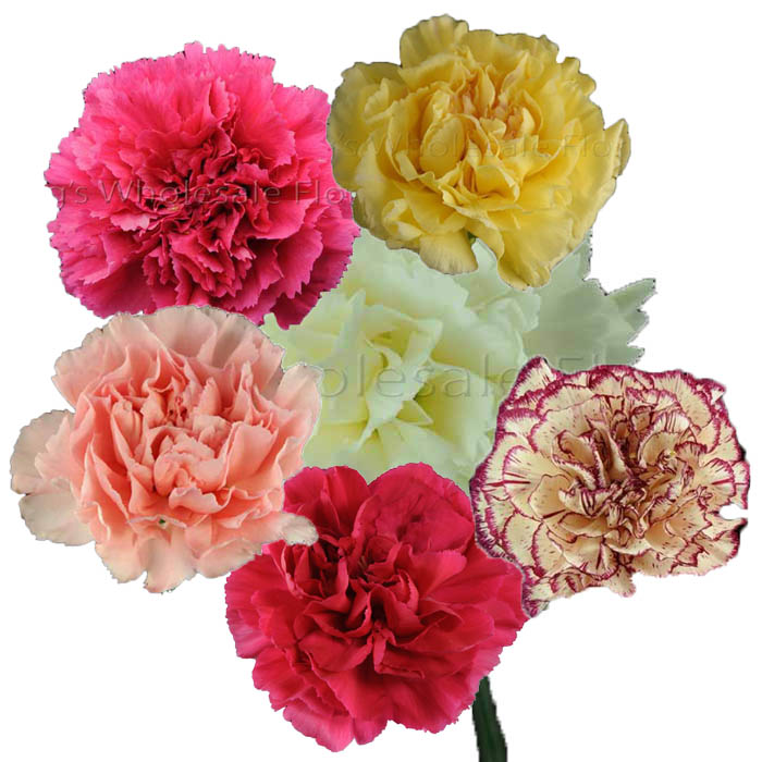 Product Display - King's Wholesale Florists