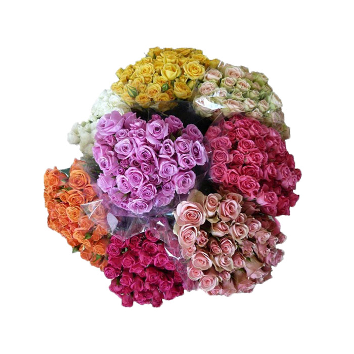 Product Display - King's Wholesale Florists