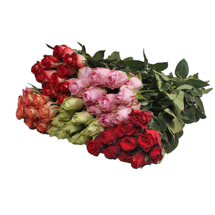 Product Display - King's Wholesale Florists