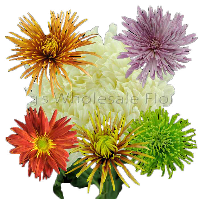 Product Display - King's Wholesale Florists