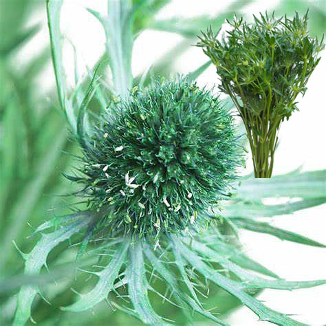 Product Display - King's Wholesale Florists